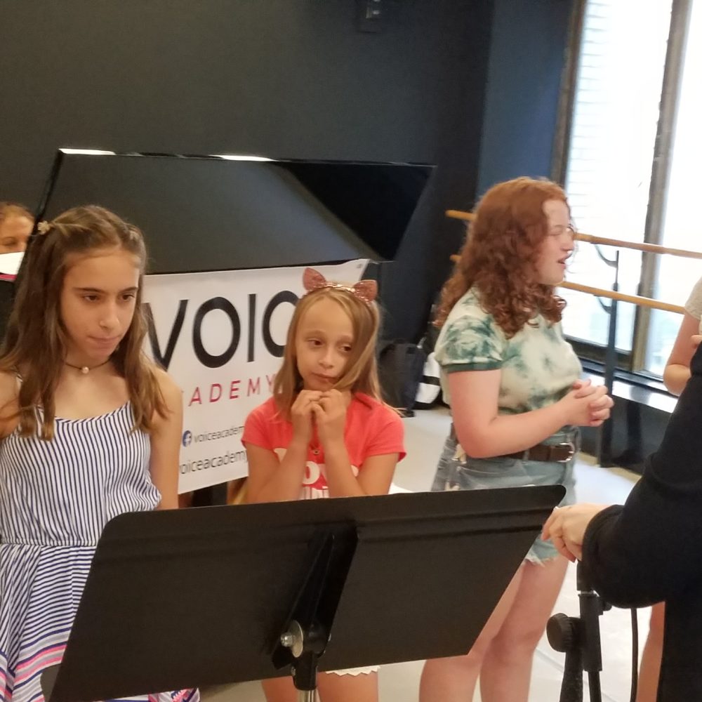 Make a Booking – Voice Academy NYC